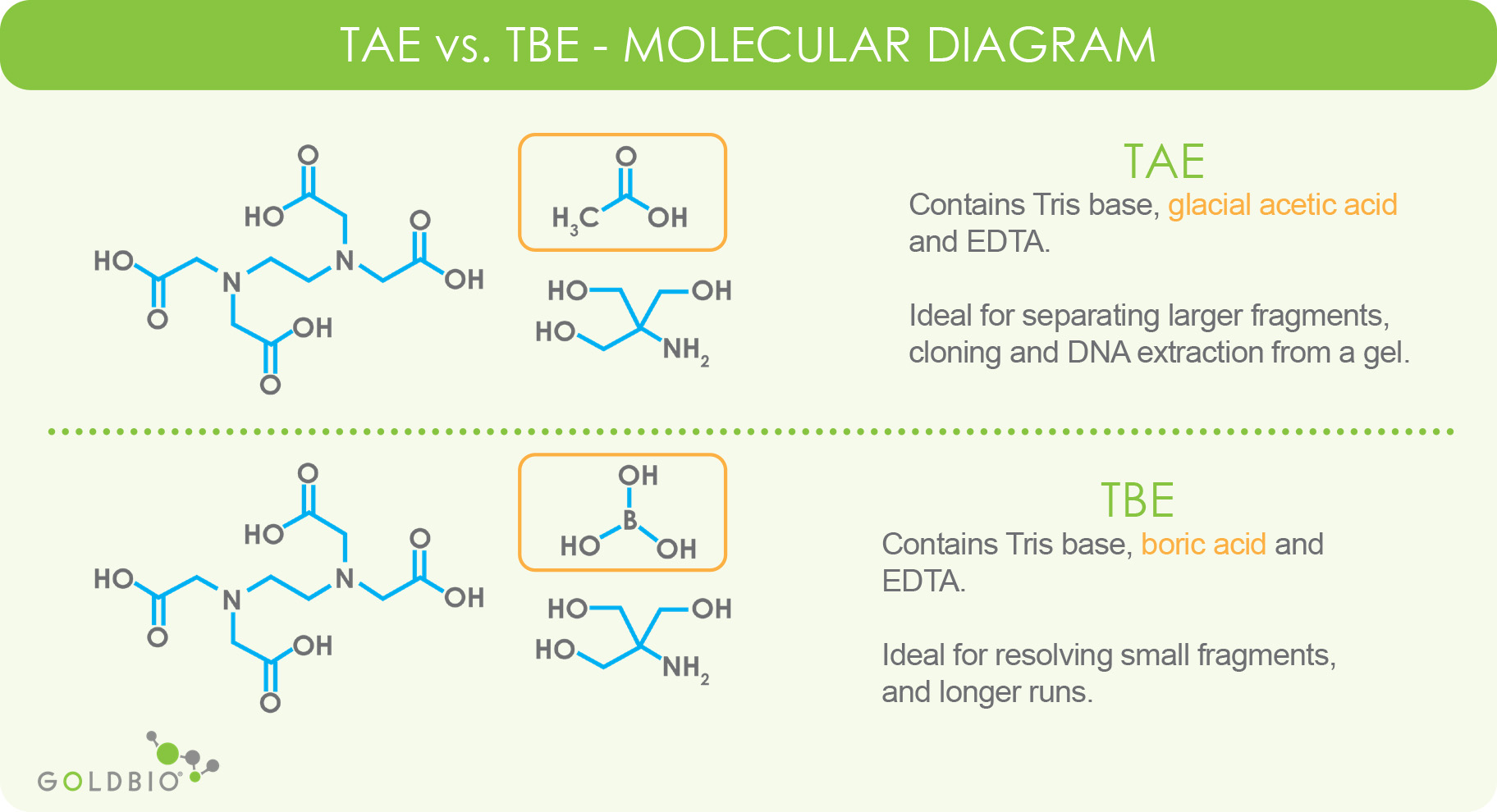 Choosing Between TAE buffer and TBE Buffer for Agarose Gel Electrophoresis | GoldBio